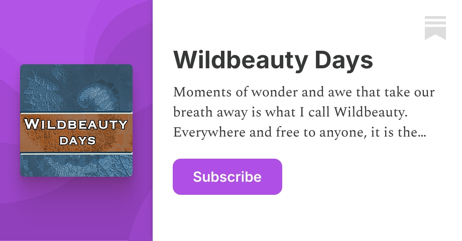 gratitude mojo community | Joyce Wycoff | Substack