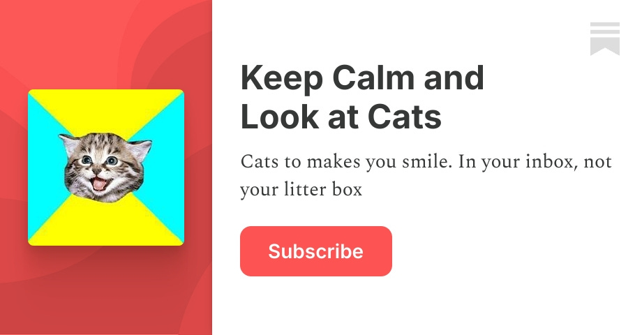Keep Calm and Look at Cats | Happy Cat | Substack