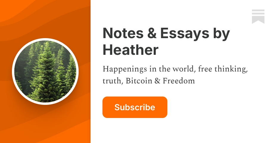 Notes & Essays by Heather | Heather Everdeen | Substack