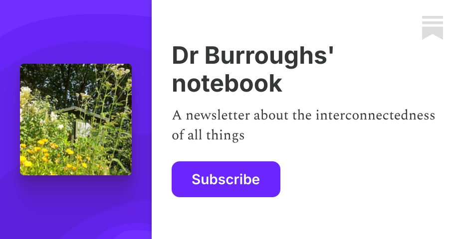 Dr Burroughs' notebook | Mrs S | Substack