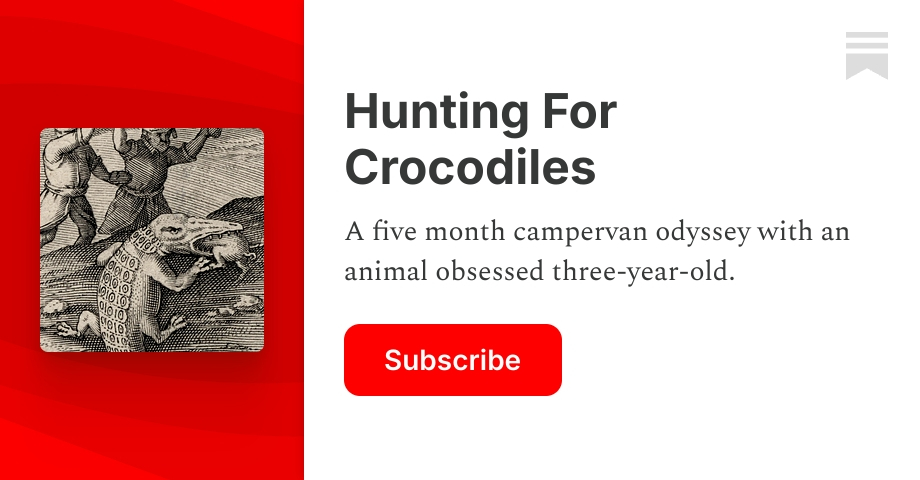 Hunting For Crocodiles | Helen Stay | Substack
