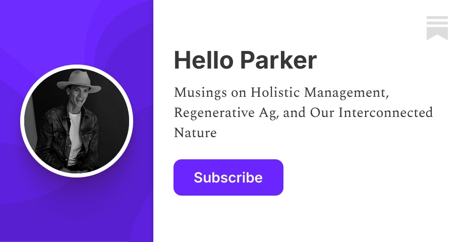 Hello Parker | Jordan Parker | Substack