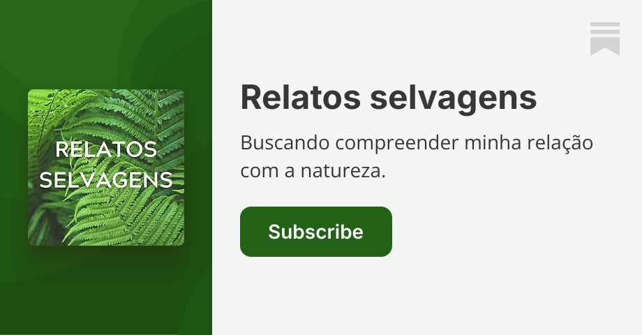 Pena de planta - by Heloisa Righetto - Relatos selvagens