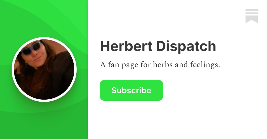 Herbert Dispatch | Katie McGregor | Substack