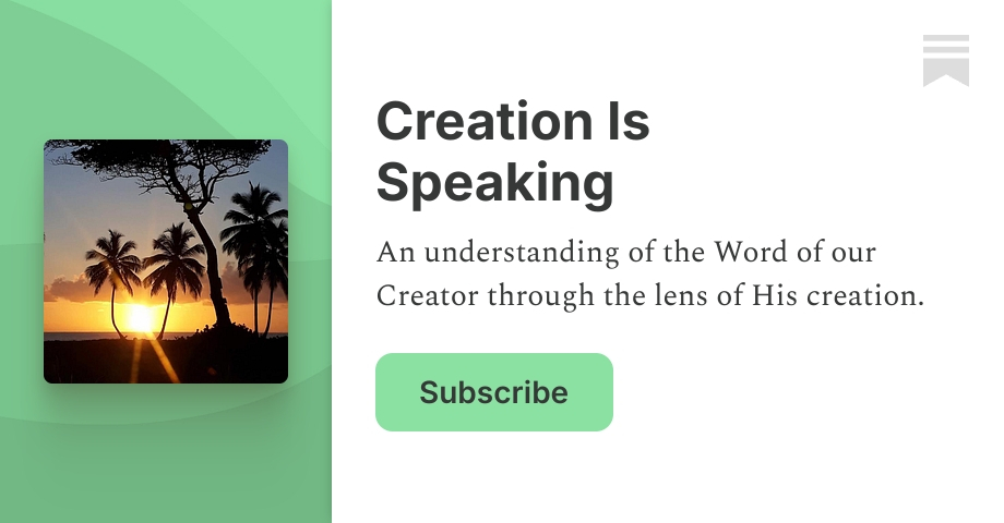 Creation Is Speaking | Hermione | Substack