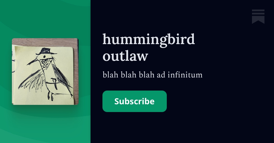 hummingbird outlaw | nadav | Substack