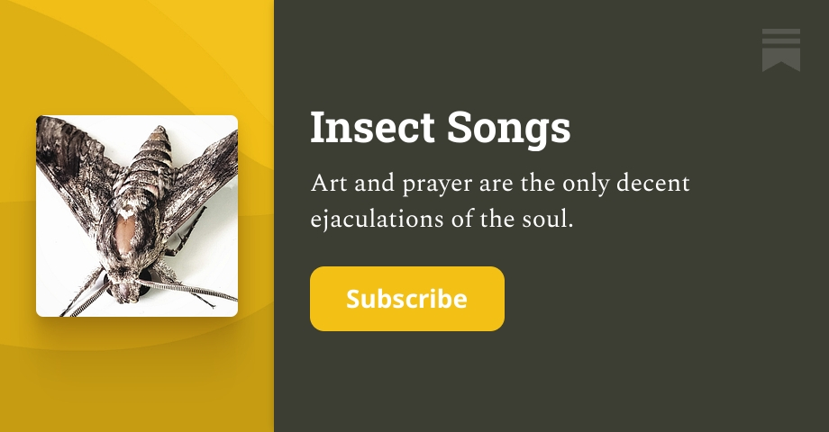 About - Insect Songs