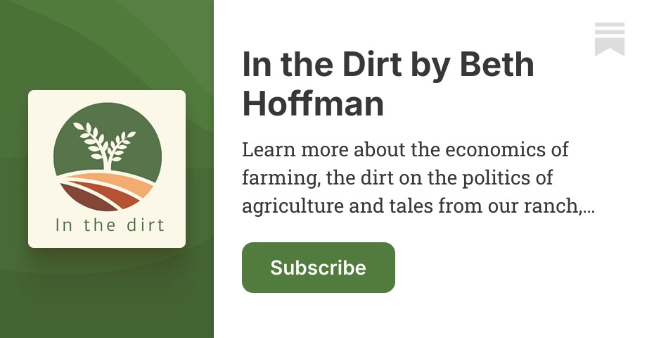 In the Dirt | Beth Hoffman | Substack