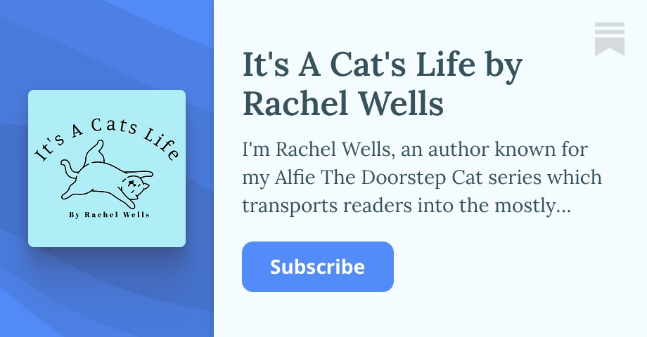 It's A Cat's Life by Rachel Wells | Substack