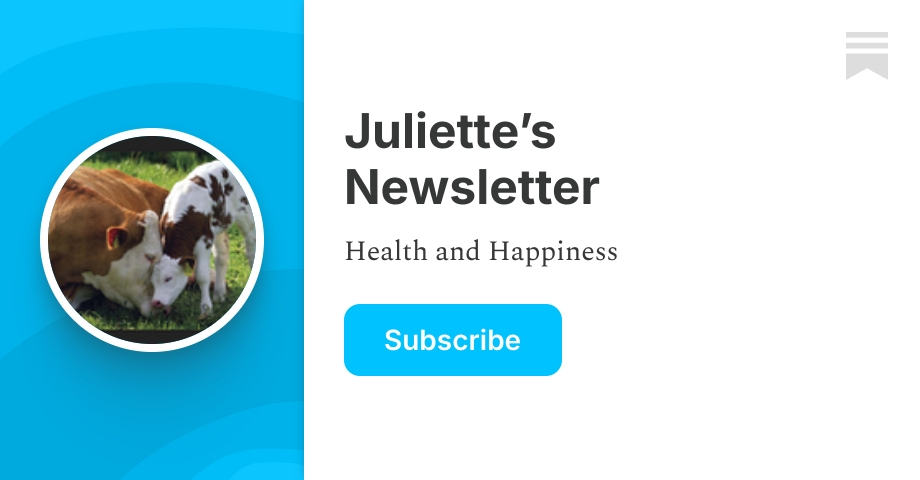 Juliette’s Newsletter | Substack