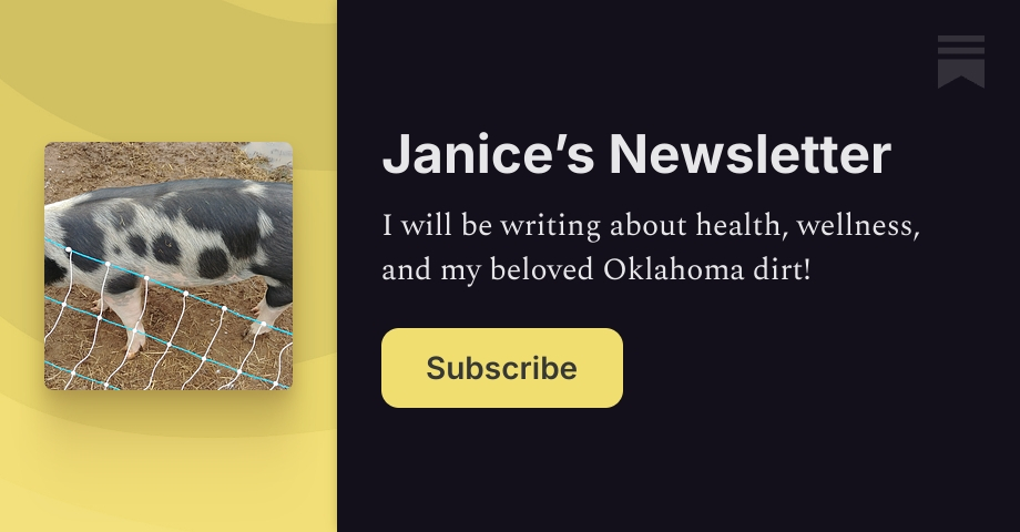 Janice’s Newsletter | Janice Phillips | Substack