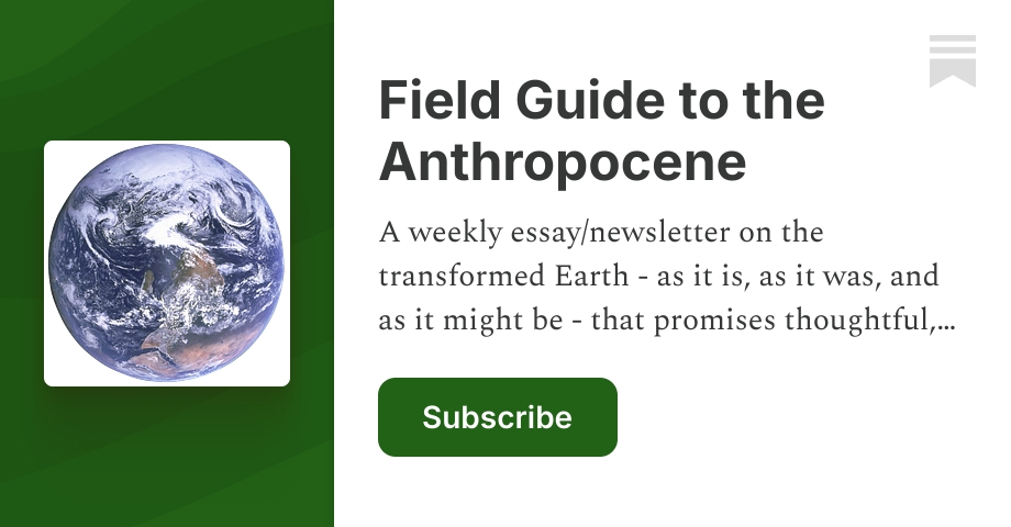 A Field Guide to the Anthropocene - by Jason Anthony