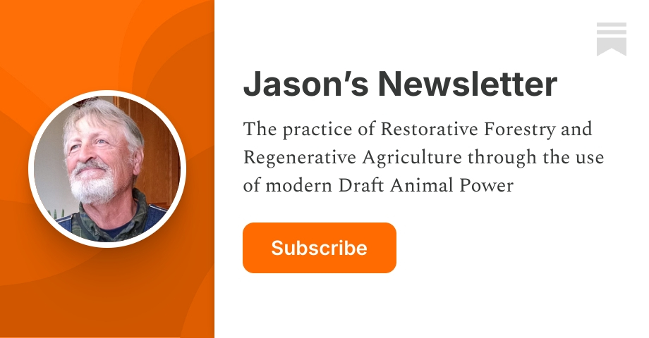 Jason Rutledge's Biography - by Jason Rutledge