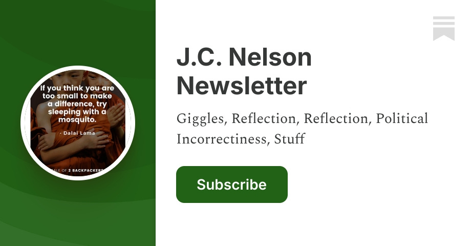 The Relentless Pursuit of Reflection - by J. C. Nelson