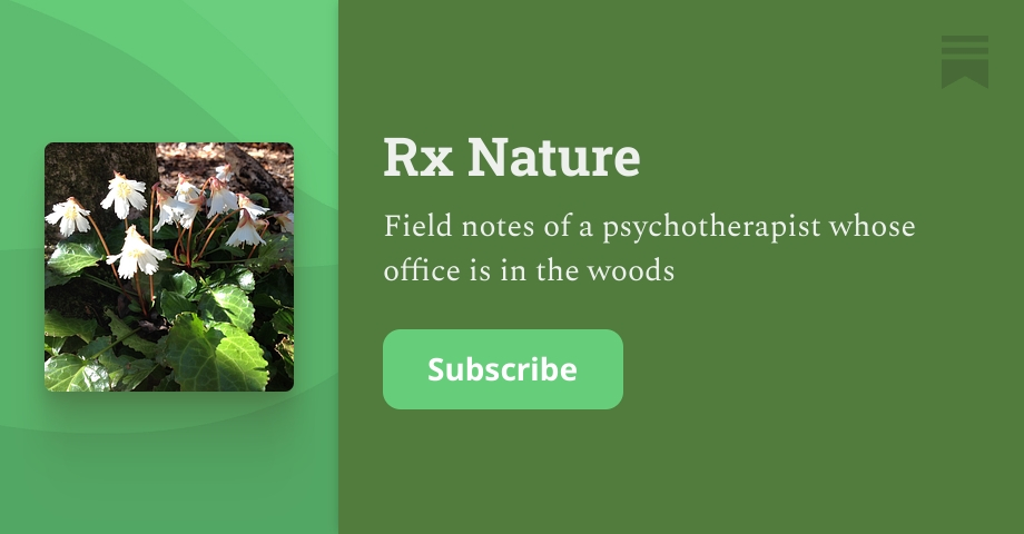 Rx Nature | Jeanne Malmgren | Substack