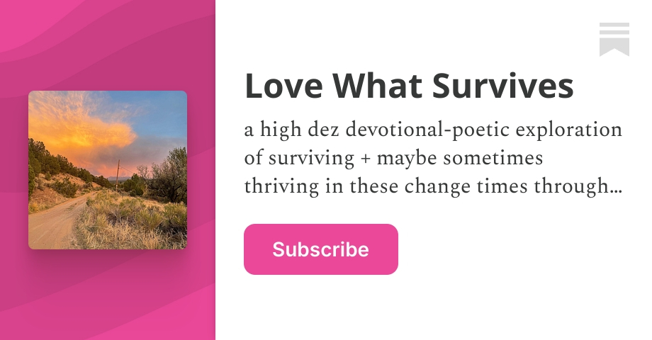 Love What Survives | Jennifer Patterson | Substack