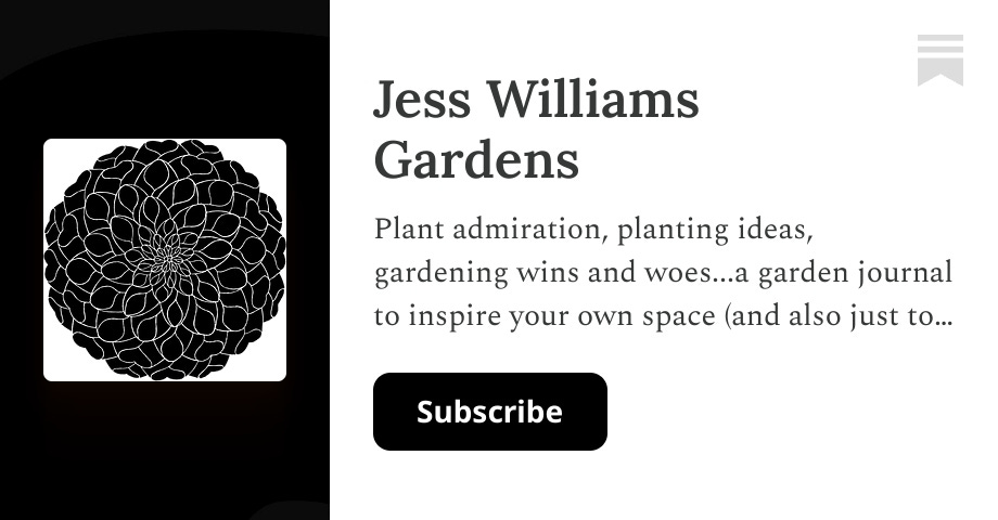 Jess Williams Gardens | Substack