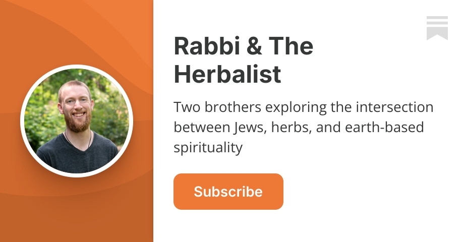 Rabbi & The Herbalist | Ben LeVine | Substack