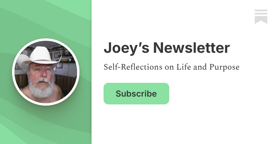 Joey’s Newsletter | Joey Black | Substack