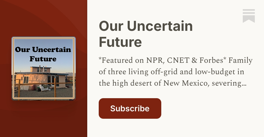 Our Uncertain Future | Johanna DeBiase | Substack