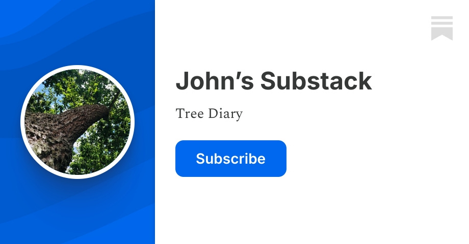 John’s Substack | John Freeman | Substack