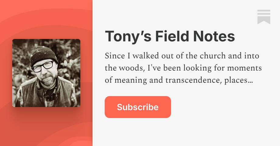 Tony’s Field Notes | Tony Jones | Substack