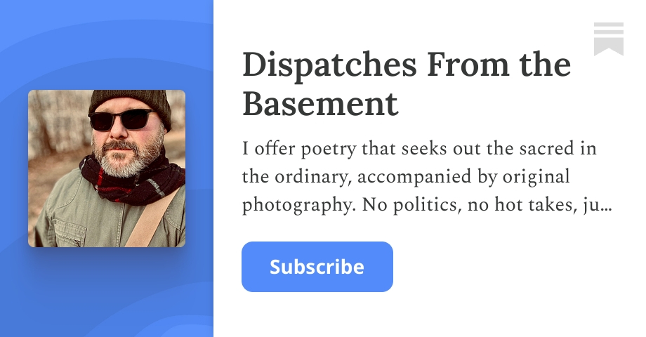 Dispatches From the Basement | Joseph Massey | Substack