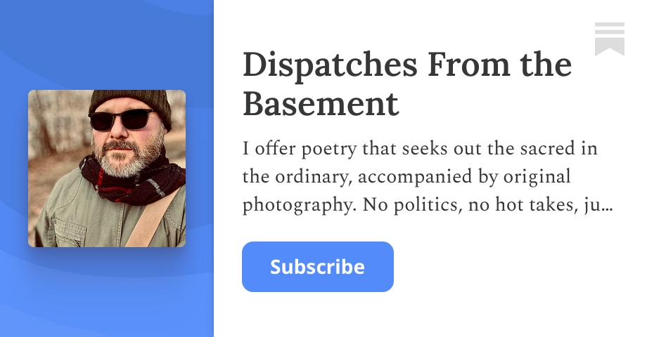 Dispatches From the Basement | Joseph Massey | Substack