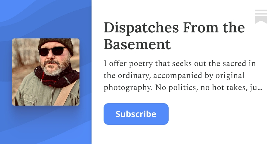 Dispatches From the Basement | Joseph Massey | Substack