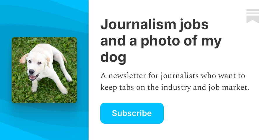 Journalism jobs and a photo of my dog | Mandy Hofmockel | Substack