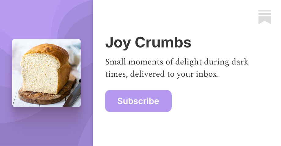 Joy Crumbs | Emma Pettit | Substack