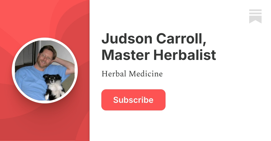 Shared post - Medicinal Shrubs and Woody Vines: Chimaphila, Pipsissewa