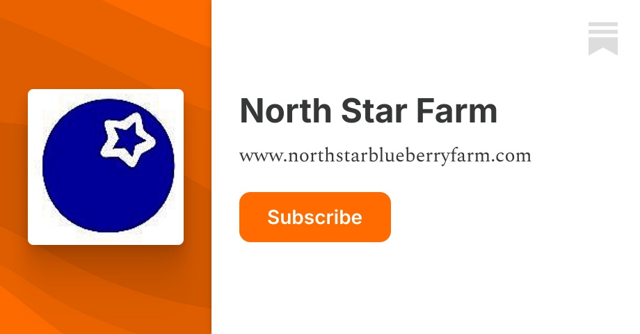 North Star Farm | Justin Kamm | Substack
