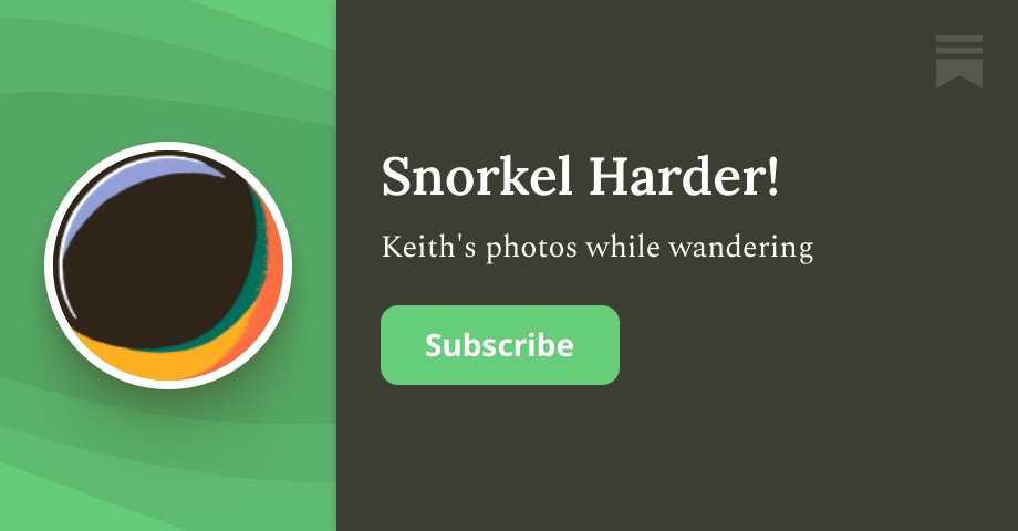Snorkel Harder! | Keith | Substack