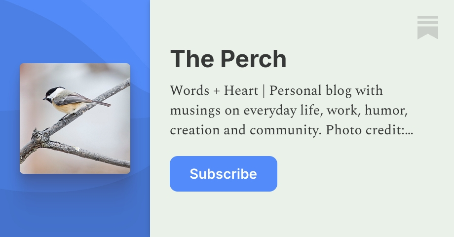 The Perch | Karen Vernon | Substack