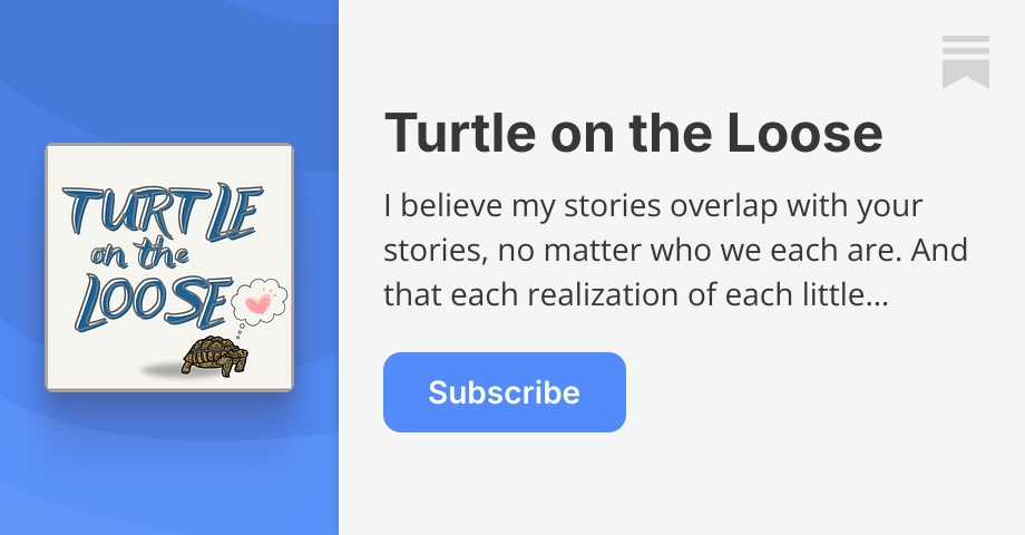 Turtle on the Loose | Karin Crompton | Substack