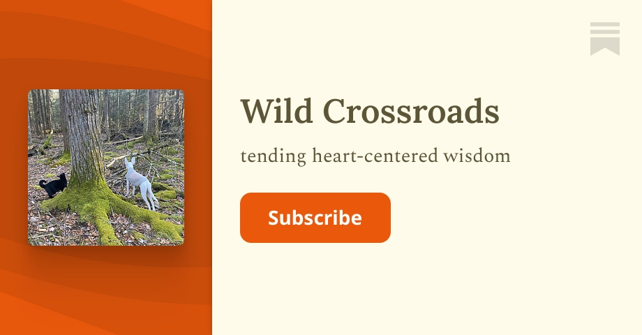 The Parable of the Robot who Killed Suzy