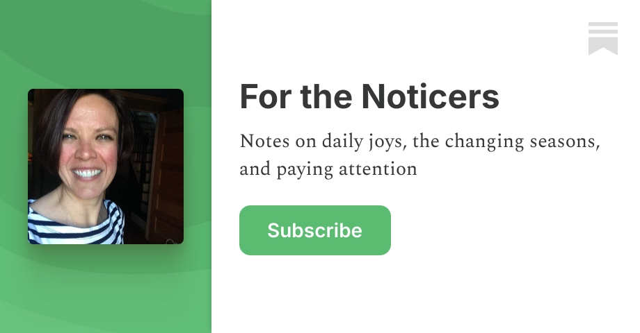 For the Noticers | Katie Noah Gibson | Substack