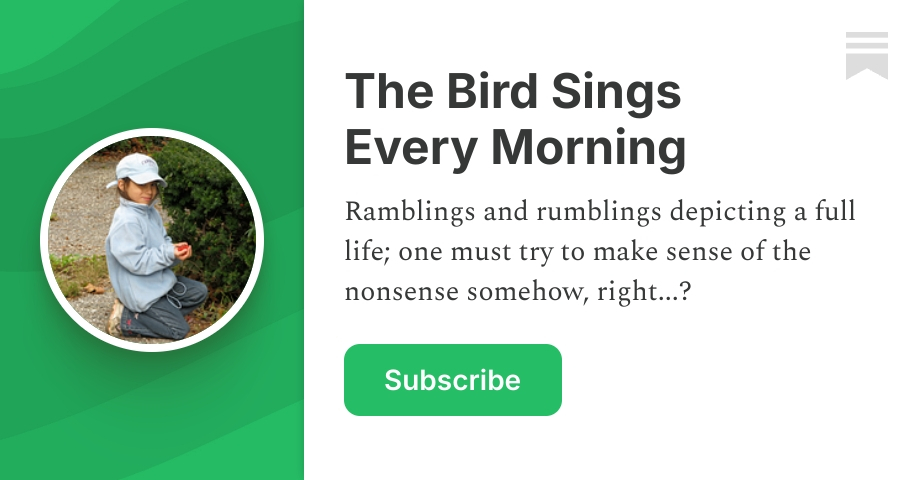The Bird Sings Every Morning | Kira | Substack