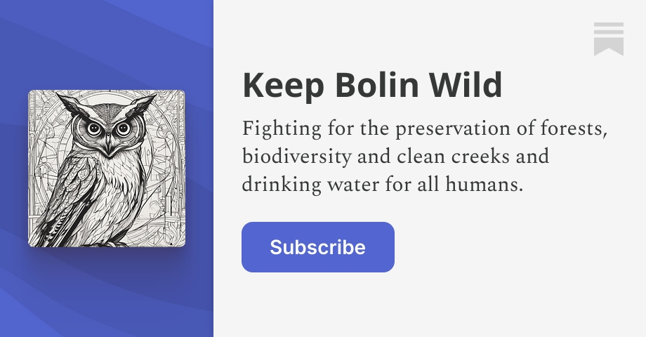 Keep Bolin Wild | KeepBolinWild | Substack