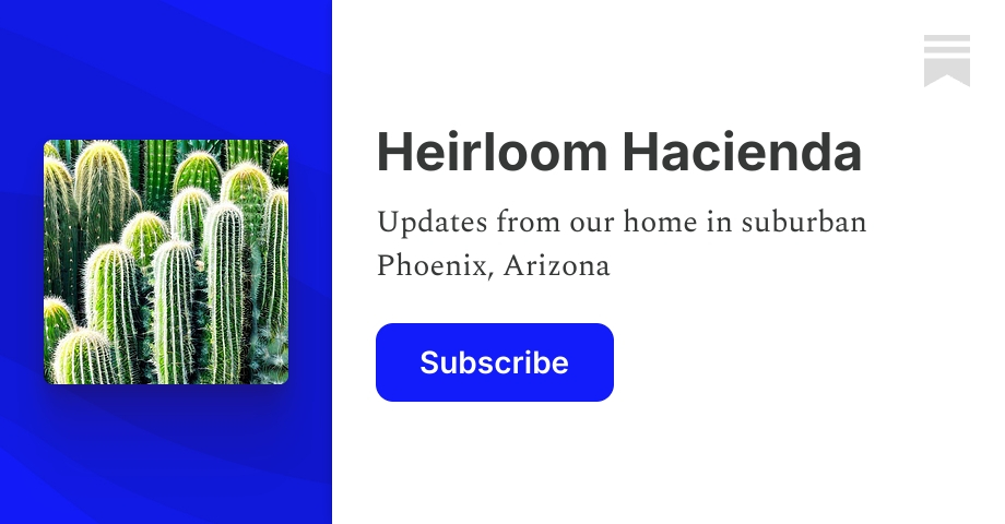 Heirloom Hacienda | Kelli Donley Williams | Substack