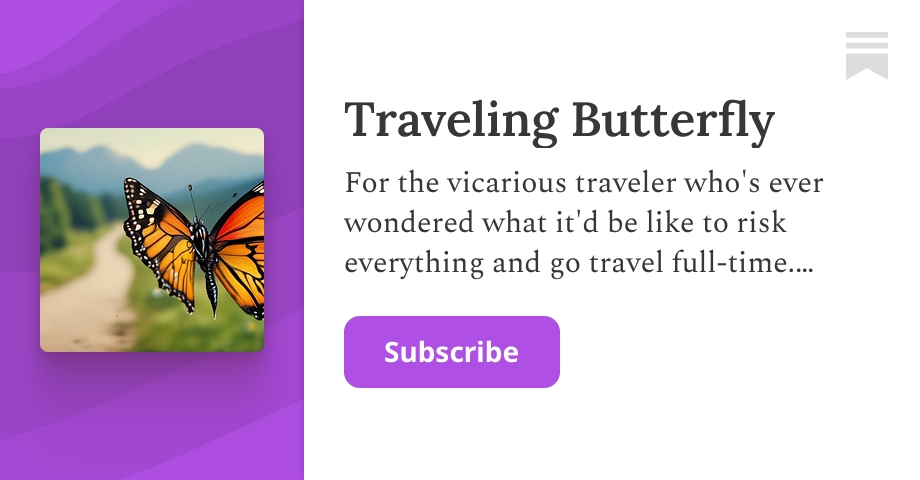 Traveling Butterfly | Kelly Mellon | Substack