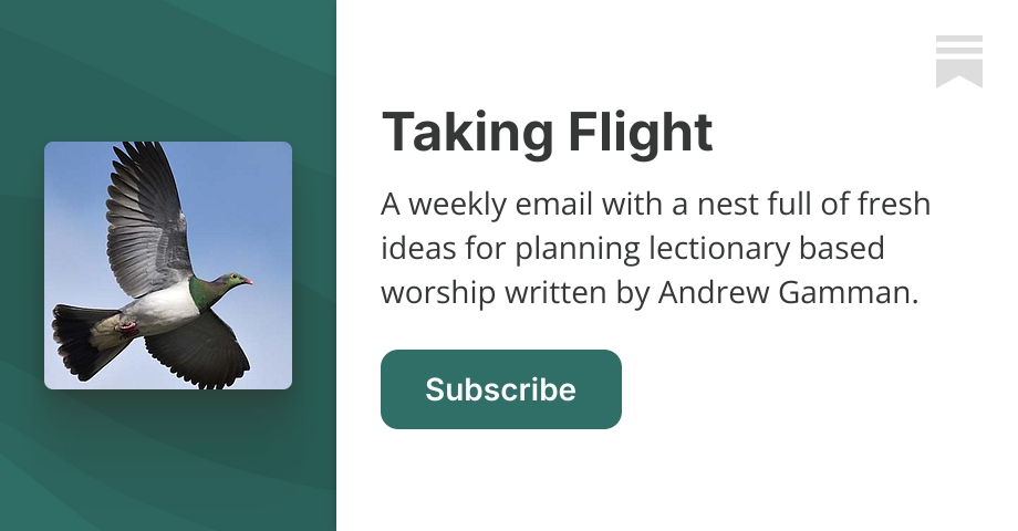 Taking Flight | Kereru Publishing | Substack