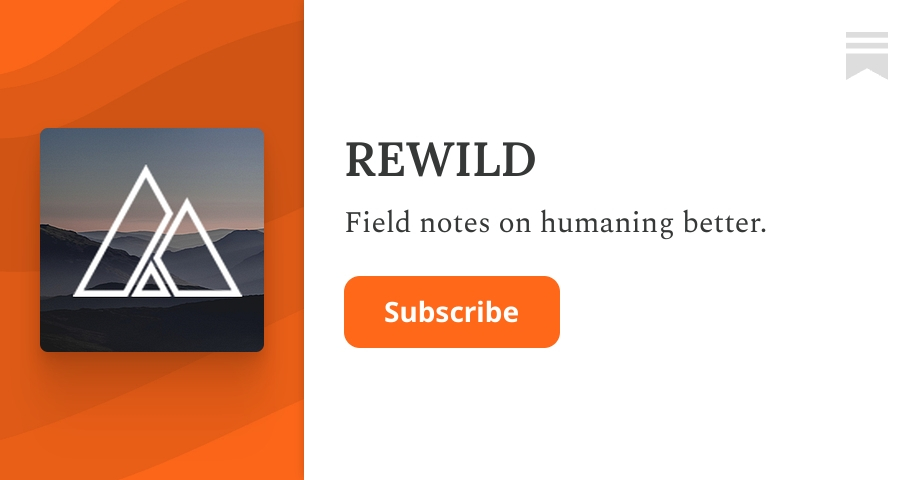 The Rewilded Soul | Kevin Kaiser | Substack