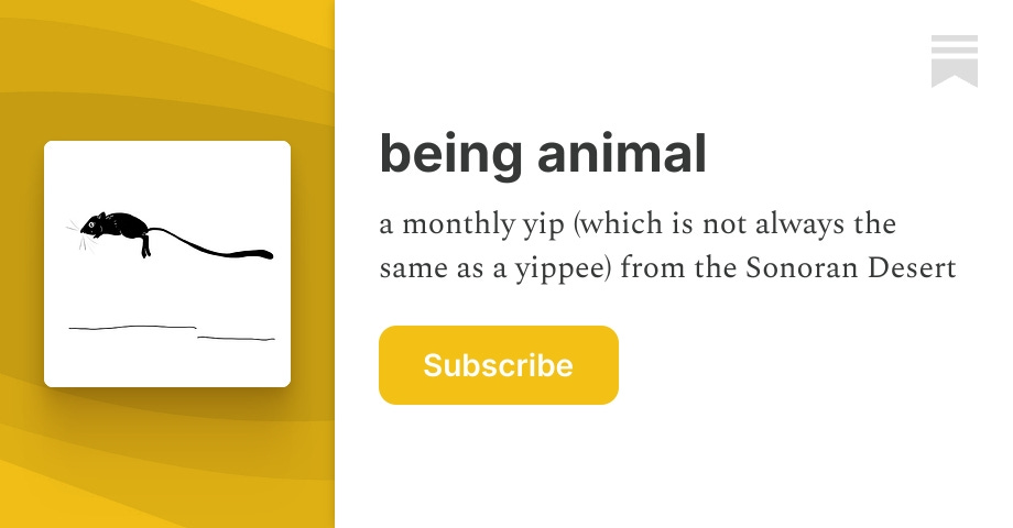 being animal | Kimi Eisele | Substack