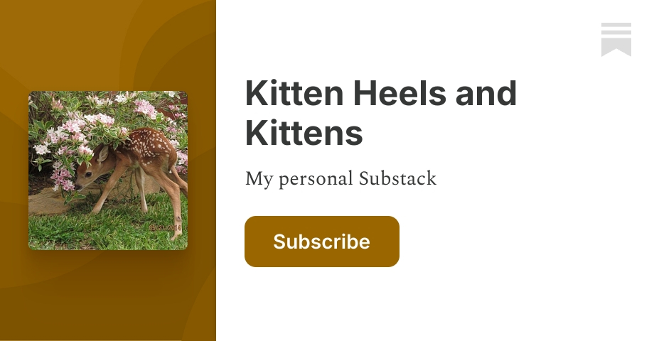 Kitten Heels and Kittens | Jen lynes | Substack
