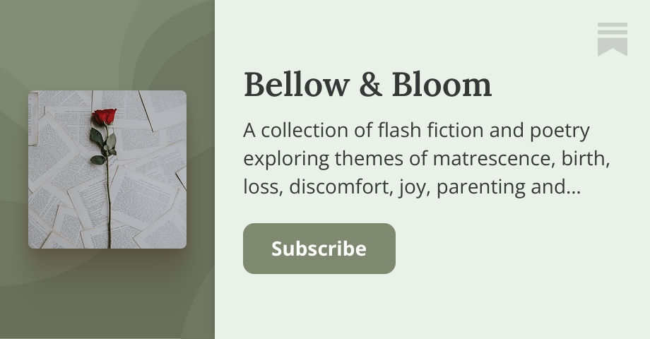 Bellow & Bloom | Kylie Rose | Substack