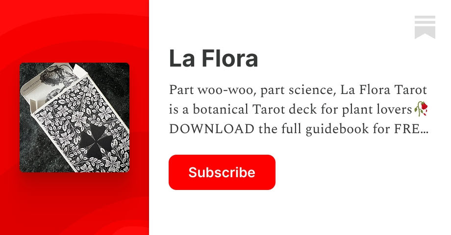 La Flora | Substack