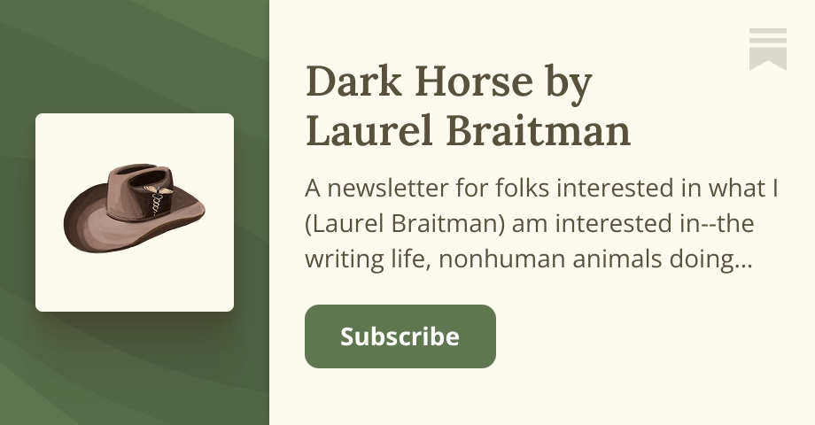 Dark Horse by Laurel Braitman | Substack