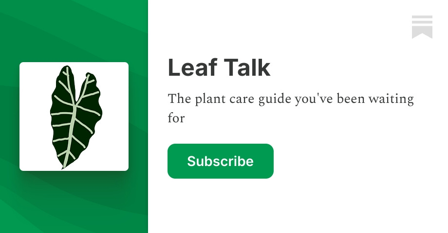 Leaf Talk | Jacob Jones | Substack